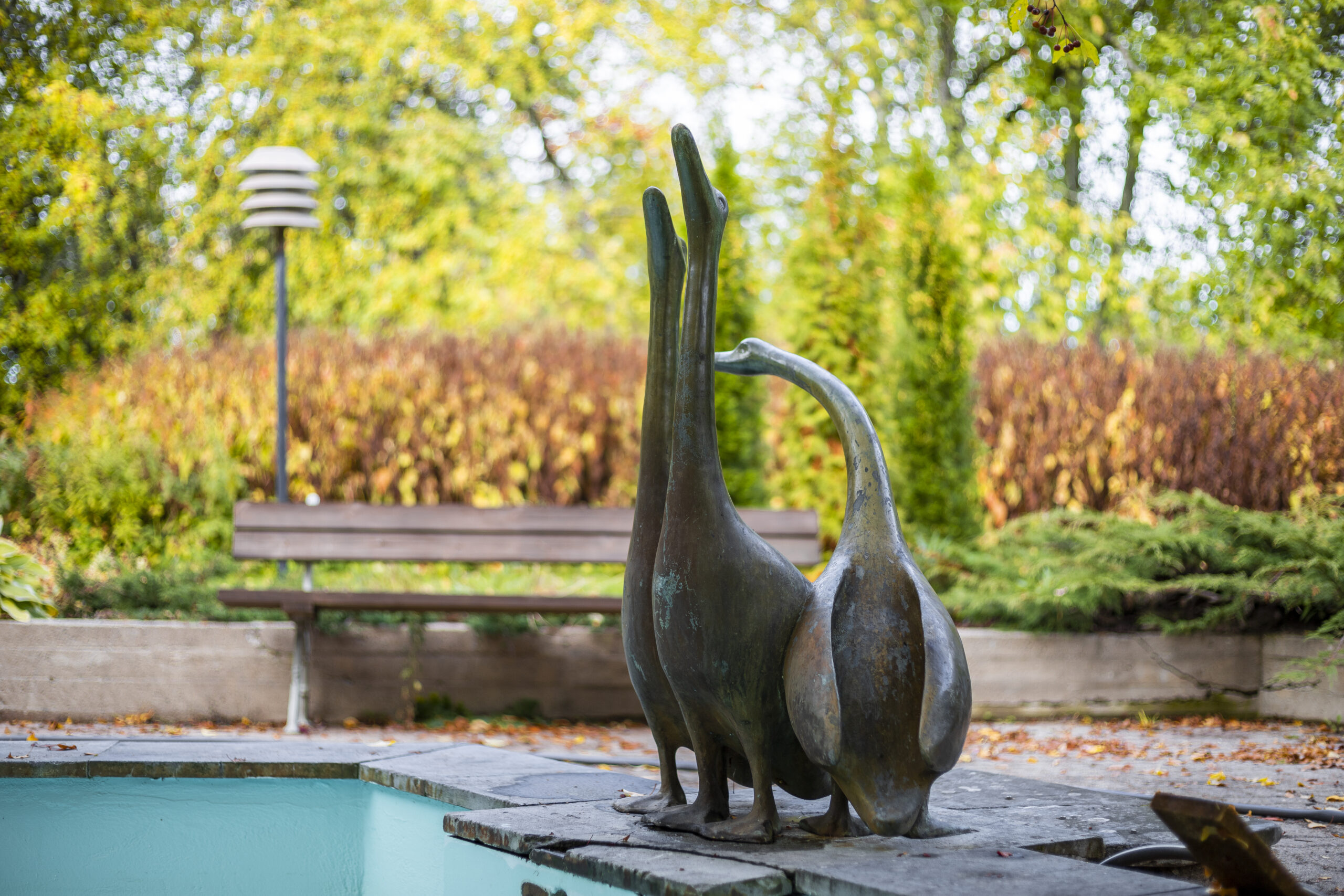 Seinäjoen Törnävällä sijaitseva Piiri on vanha mielisairaala-alue